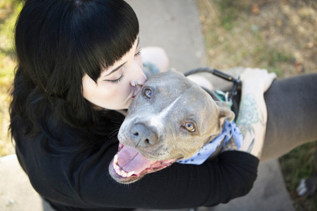 6 Facts About Heartworms & Warning Signs To Look For - Emancipet