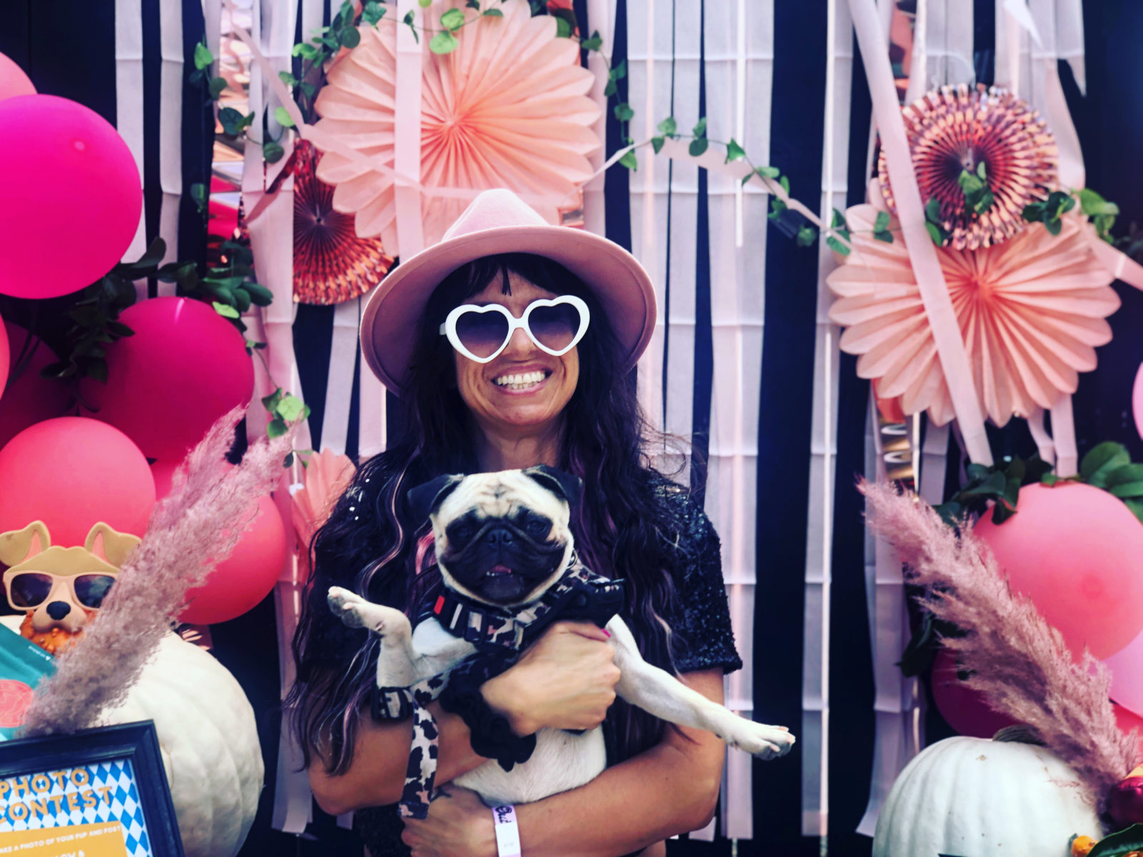 Meet our 500,000th Spay Patient: Havana Coco - Emancipet