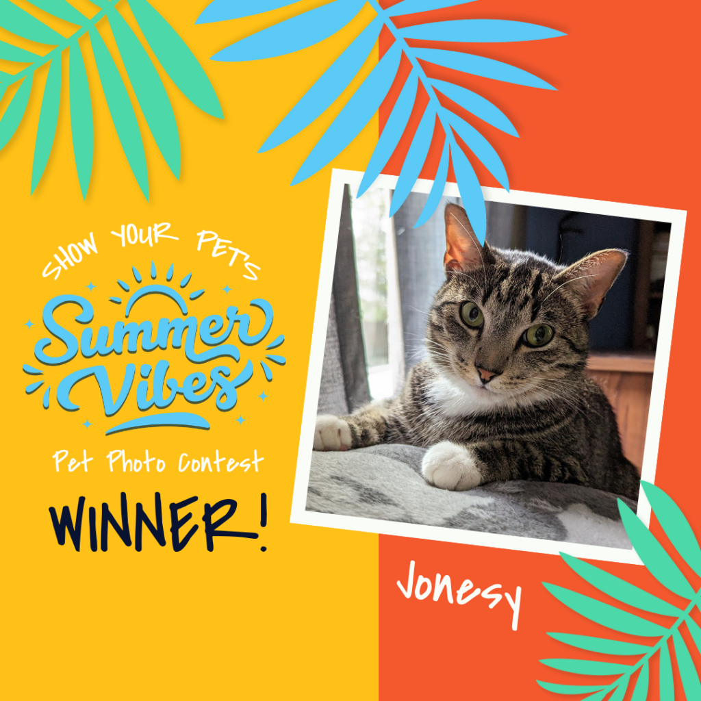 2023 Photo Contest Winner - Emancipet