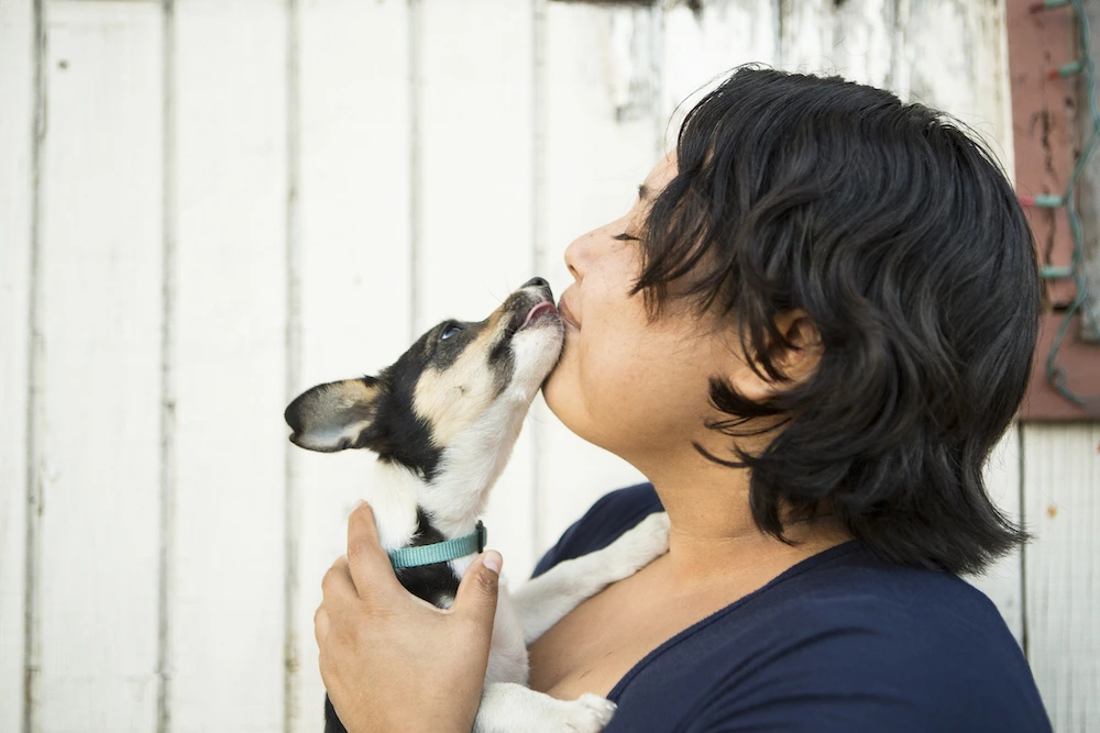 Northwest Freeway - Emancipet