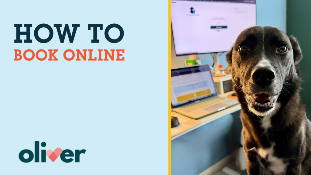 Summer Series: How to Book Online - Emancipet